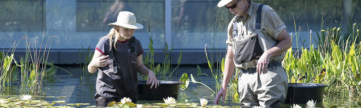 SUMMER RISE | Montgomery County Public Schools | Rockville, MD